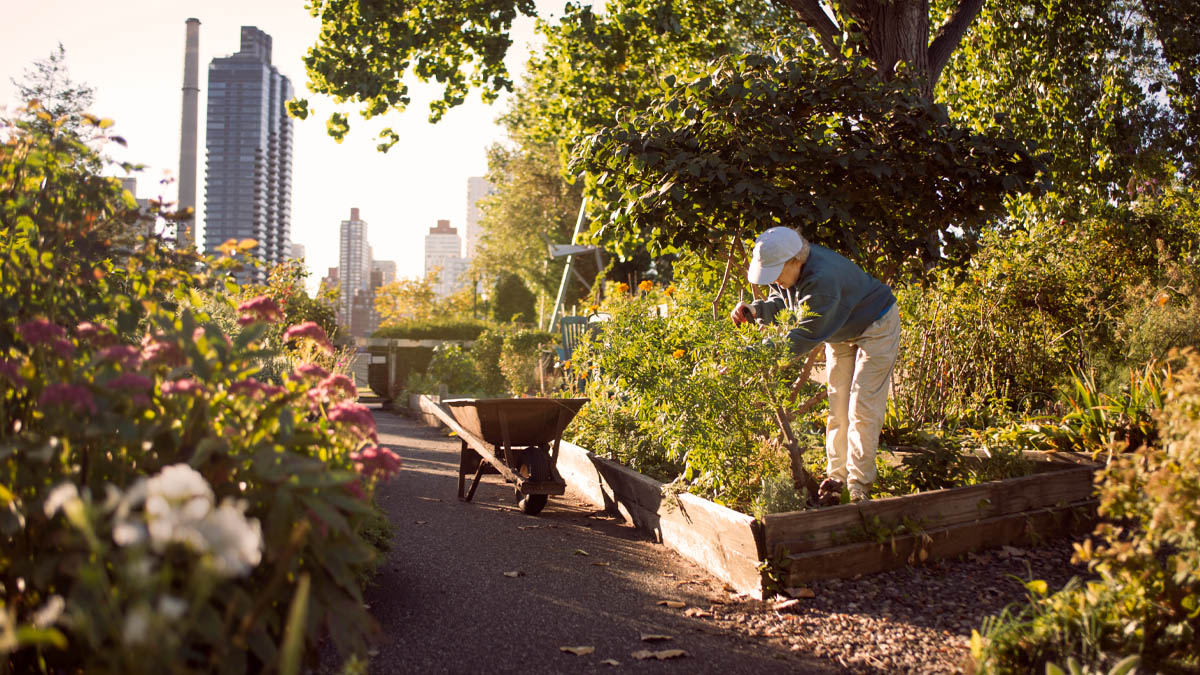 Wat als… we zouden leven in volledig groene steden? – MaatschapWij