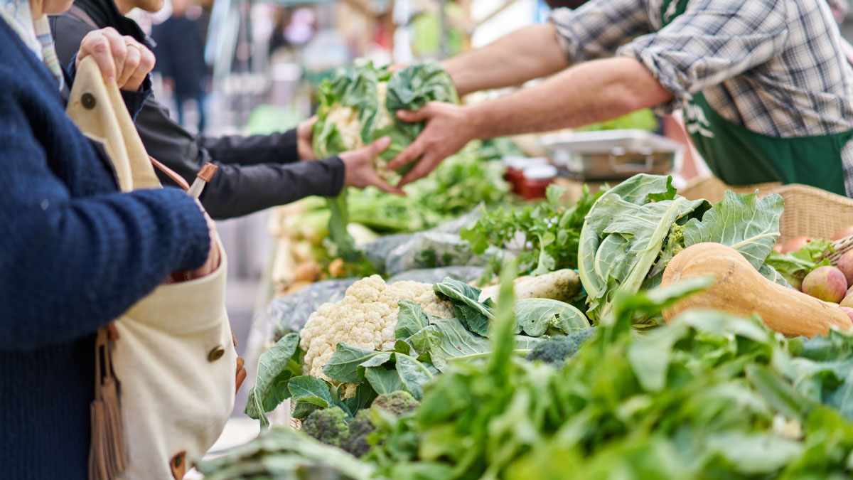 Wat als… we al ons voedsel lokaal zouden produceren? – MaatschapWij