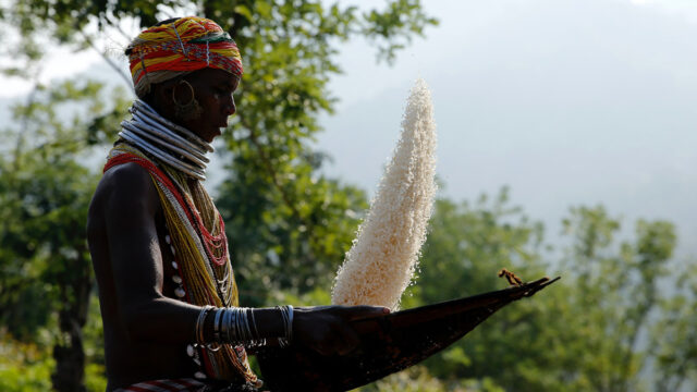 7 lessen die we van inheemse samenlevingen kunnen leren over onze economie