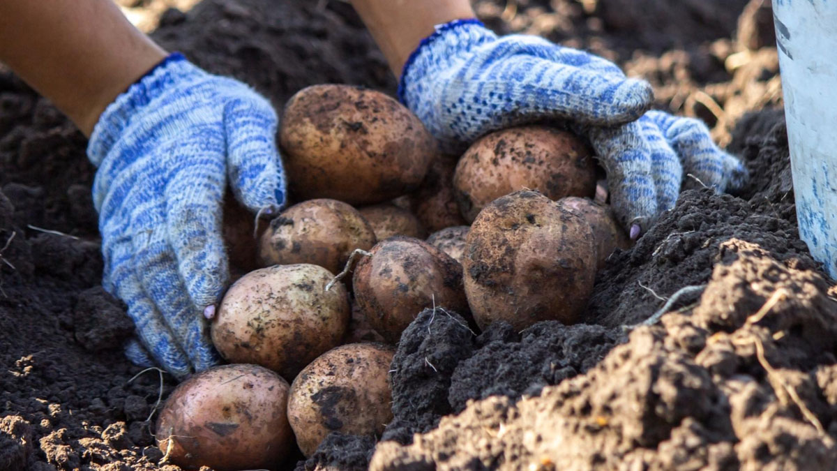 Frederike Praasterink: “We moeten ons opnieuw afvragen waar ons ...