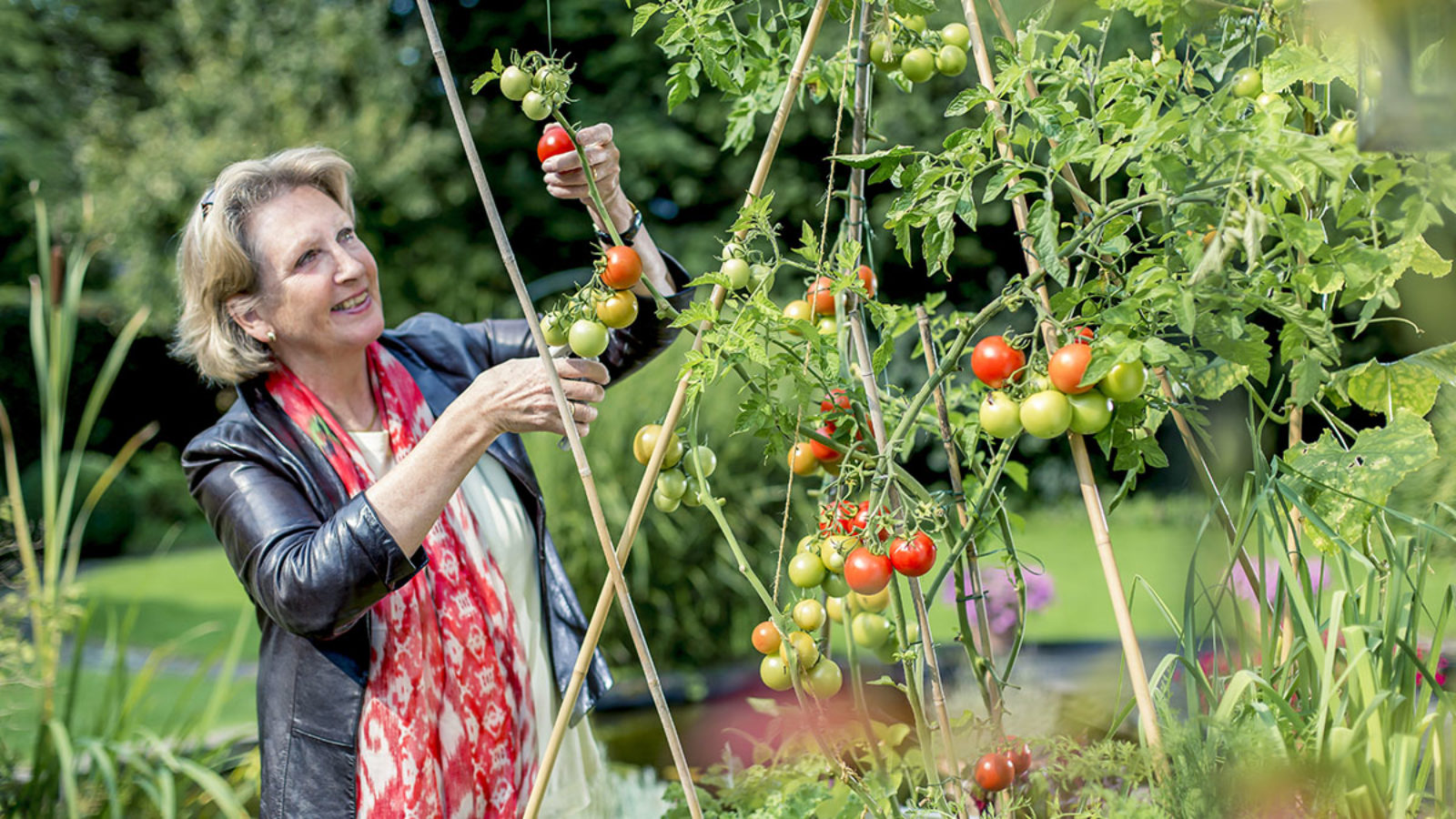 Huisarts Machteld Huber: “Landbouw zou om gezondheid moeten draaien”