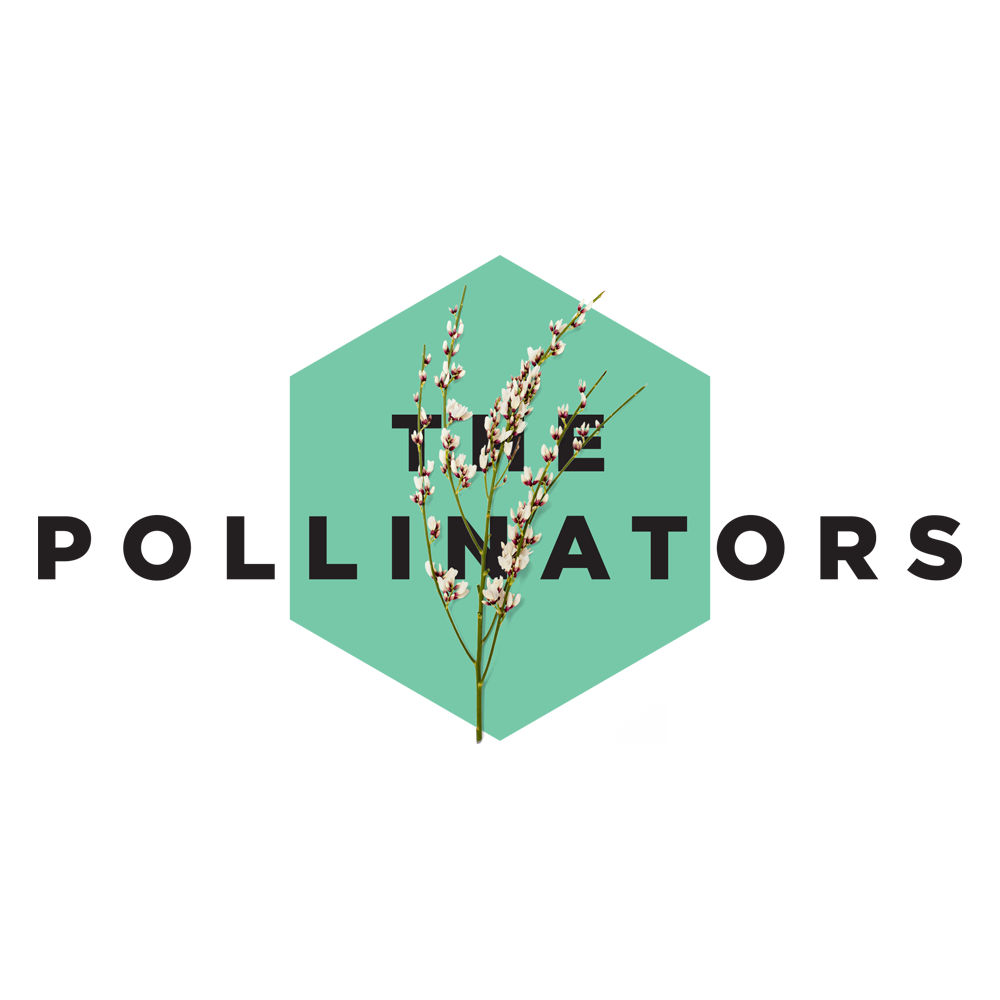 The Pollinators – MaatschapWij